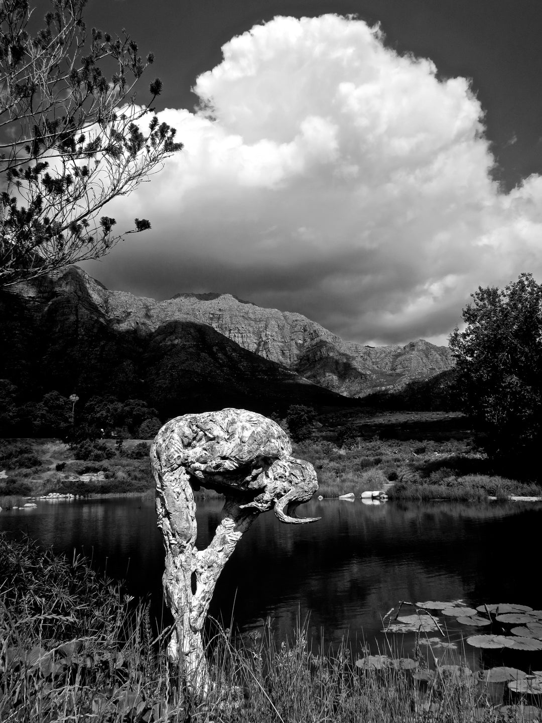 Dylan Lewis – Objects With Narratives